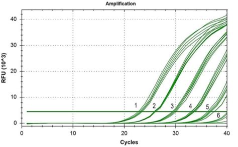 Detection Limit Of Qpcr Signals 1 6 The Results Of Qpcr For 10 Ng 1