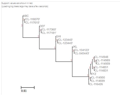 Visualization Tool To Visualize A Collection Of Phylogenetic Trees
