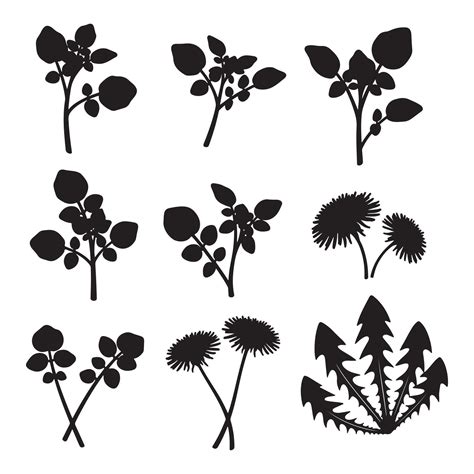Collection Of Various Plant Silhouettes Showcasing Diverse Botanical
