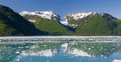 Alaska Travel Guide Visit College Fjords