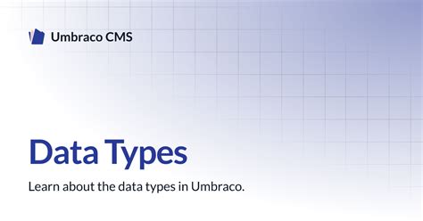 data types umbraco cms