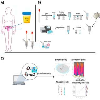 Of Sample Acquisition And Analyses A Shows Sample Collection In The Download Scientific