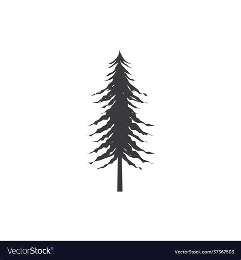 Cedar Tree Royalty Free Vector Image Vectorstock Cedar Tree Royalty Free Vector Image Vectorstock