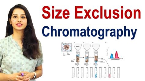 Molecular Exclusion Chromatography Definition In Chemistry At Gabrielle Garrett Blog