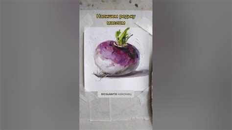 Напишем редьку маслом живопись художник Education Howtodraw живописьмаслом Tiktok Youtube