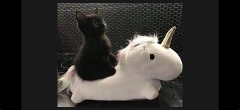 He Be Chilled Though Album On Imgur