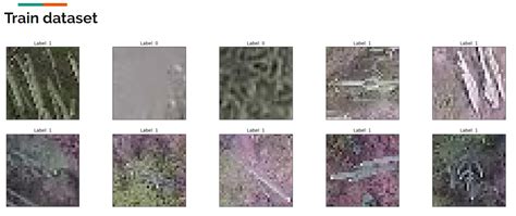 Github Kooroshoo Aerial Cactus Identification Using Vggnet In This