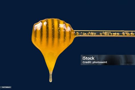 신선한 향기로운 꿀은 숟가락에서 파란 배경의 접시에 떨어지며 떨어지며 유기농 비타민 영양 꿀에 대한 스톡 사진 및 기타 이미지 꿀 끈적거리는 날것 Istock