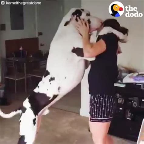 Video Lalith H Posted On Linkedin