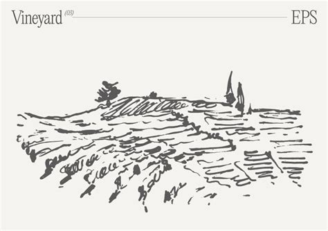 Vineyard Landscape Vintage Wine Label Sketch Vector Image
