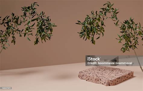 하얀 화강암 바위 연단 또는 돌 무대와 나뭇잎 프리젠테이션 화장품을 위한 나뭇가지 모형 스탠드 제품 장면 배경입니다 3d 연단