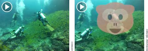 The 2023 Video Similarity Dataset And Challenge
