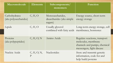 Molecules To Metabolism Ppt Download