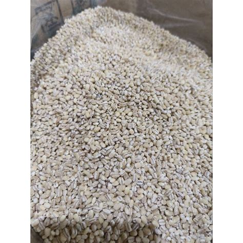Jual Barley Jali Jali 250 Gr Shopee Indonesia
