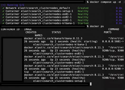 Start Elasticsearch With Docker — Jisustory