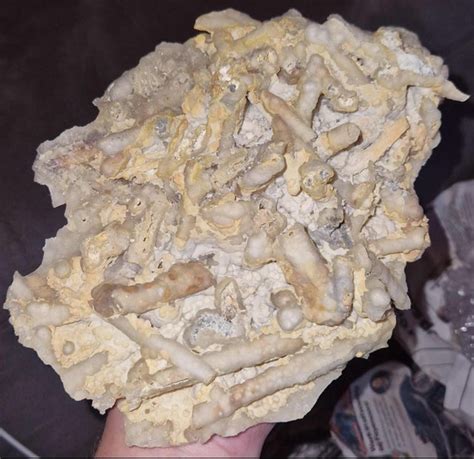 Forbidden Mac And Cheese Rforbiddensnacks