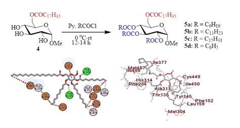 Acg Publications Acyl Glucopyranosides Synthesis Pass Predication