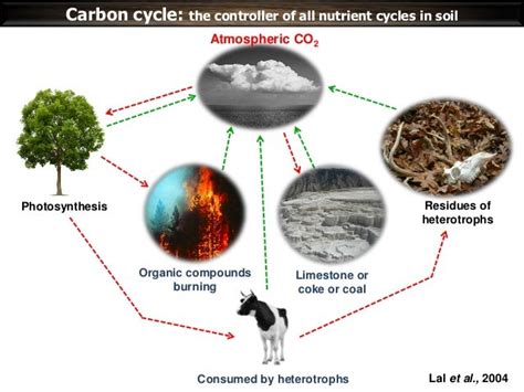 carbon utilization efficiency