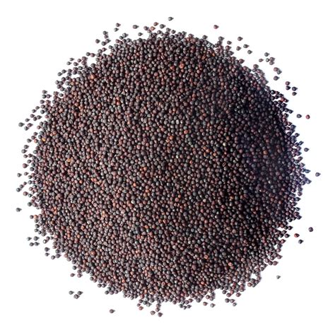 Iron Content Of Broccoli Raw Vs Sprouts Vs Powder Healthy Blog
