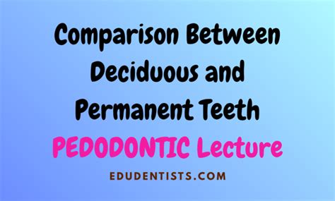 Comparison Between Deciduous And Permanent Teeth Dental Questions Lectures