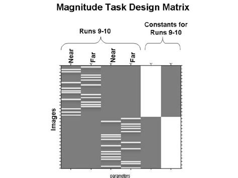 Figure C A Design Matrix For The Magnitude Task Download Scientific Diagram