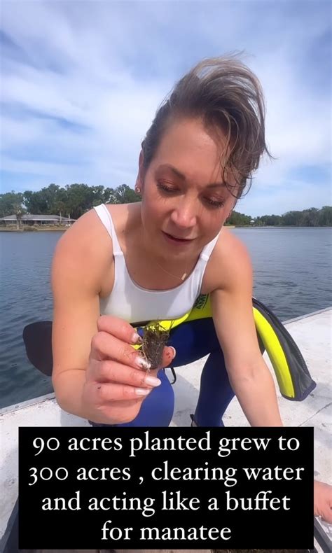 Gmas Ginger Zee Flaunts Toned Body In Sexy Pink And White Swimsuit For