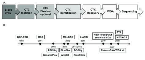 A Workflow Of Single CTC Analysis B Timeline Of WGA Technology Download Scientific Diagram