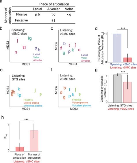 Figures And Data In The Auditory Representation Of Speech Sounds In Human Motor Cortex ELife
