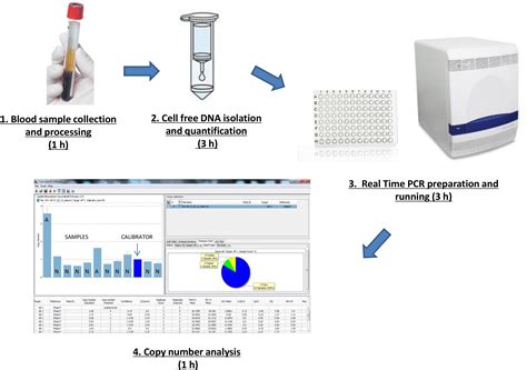 Taqman Real Time Pcr Protocol Design Talk