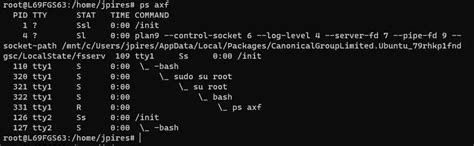Cómo Visualizar Procesos Con El Comando Ps En Linux