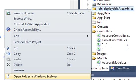 Orchard Cms Just Installed Via Wpi Gives Error 500 Stack