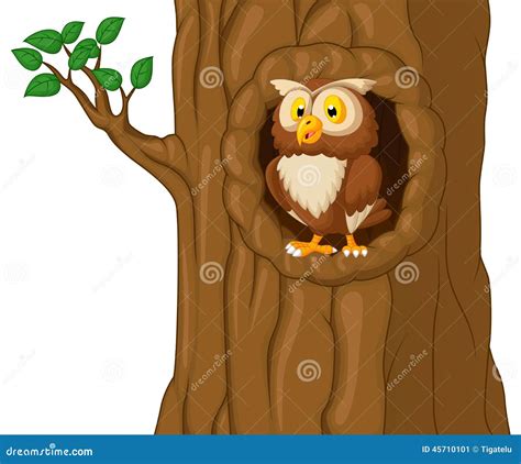 Cartoon Owl In Tree Stock Vector Illustration Of Bird 45710101