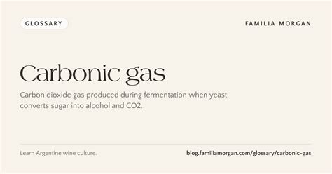 Carbonic Gas Meaning In Wine Familia Morgan Wine