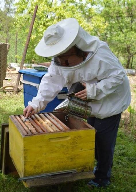 რა ფაქტორები აფერხებს ქართული თაფლის ექსპორტს ევროპის ბაზარზე Knews Ge