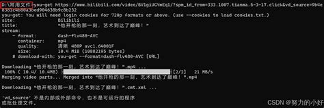 【github分享】you get项目 you get github csdn博客