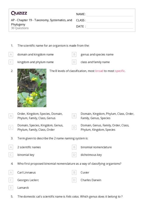 50 phylogeny worksheets on quizizz free and printable