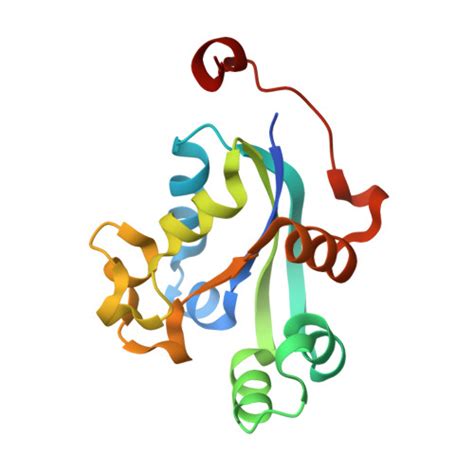 Rcsb Pdb 9od6 Crystal Structure Of Nucleoside Diphosphate Kinase From Cryptosporidium Parvum