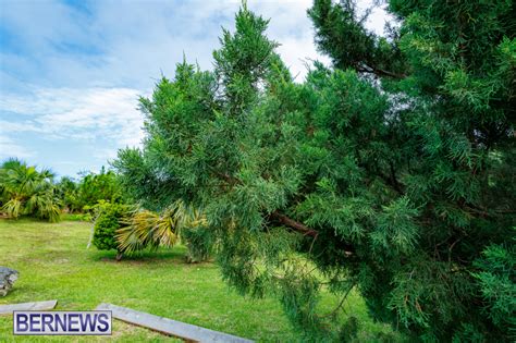 Photosvideo360 Gladys Morrell Nature Reserve Bernews