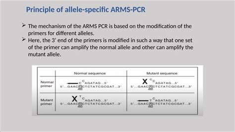 Allele Specific Polymerase Chain Reaction Pcrpptx