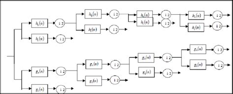 Analysis Filter Bank For The Ddwt Each Of The Two Real World Wavelet Download Scientific