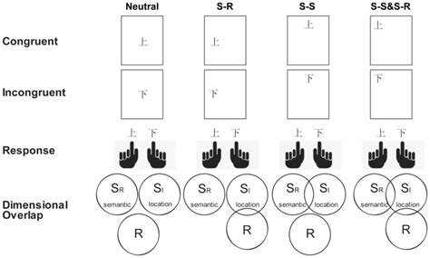 Sr Task Relevant Stimulus Dimension Si Task Irrelevant Stimulus Download Scientific