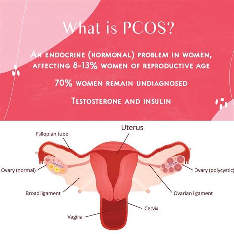 Dr Kokum Jayasinghe Home Facebook