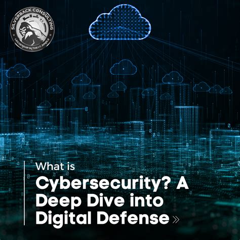 What Is Cybersecurity Silverback Consulting