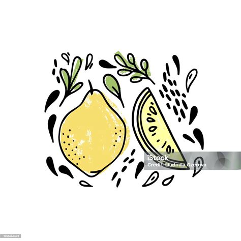흰색 배경에 나뭇잎과 방울이 있는 과일을 손으로 그린 벡터 세트 전체 레몬 과일과 그 슬라이스 손으로 그린 아이콘 순진한 그림 구성 0명에 대한 스톡 벡터 아트 및 기타