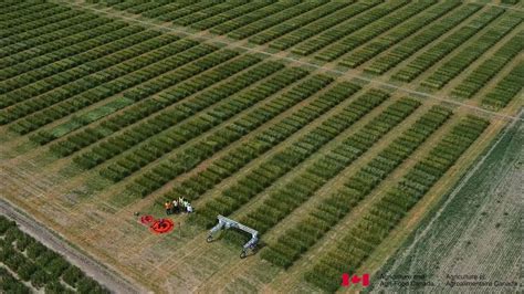 High Throughput Phenotyping System Using Unmanned Ground Vehicle Ufps Cart Youtube