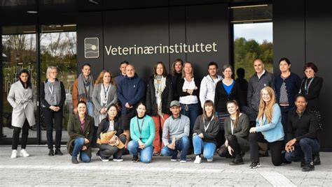 Bio Direct Biomarkers And Bioassays For Veterinary Research And