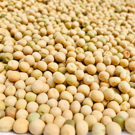 Raw White Peas Batani Safed Matar Vintage Farmers