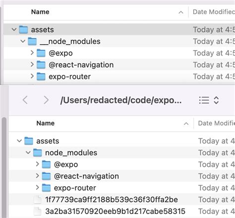 Web Build Missing TTF PNG Assets When Using A Mono Repo Issue Expo Expo GitHub