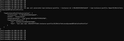 Scenario 3 Granting An Ec2 Instance Access To Dynamodb Table And
