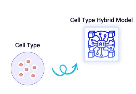 Our Platform Algocell